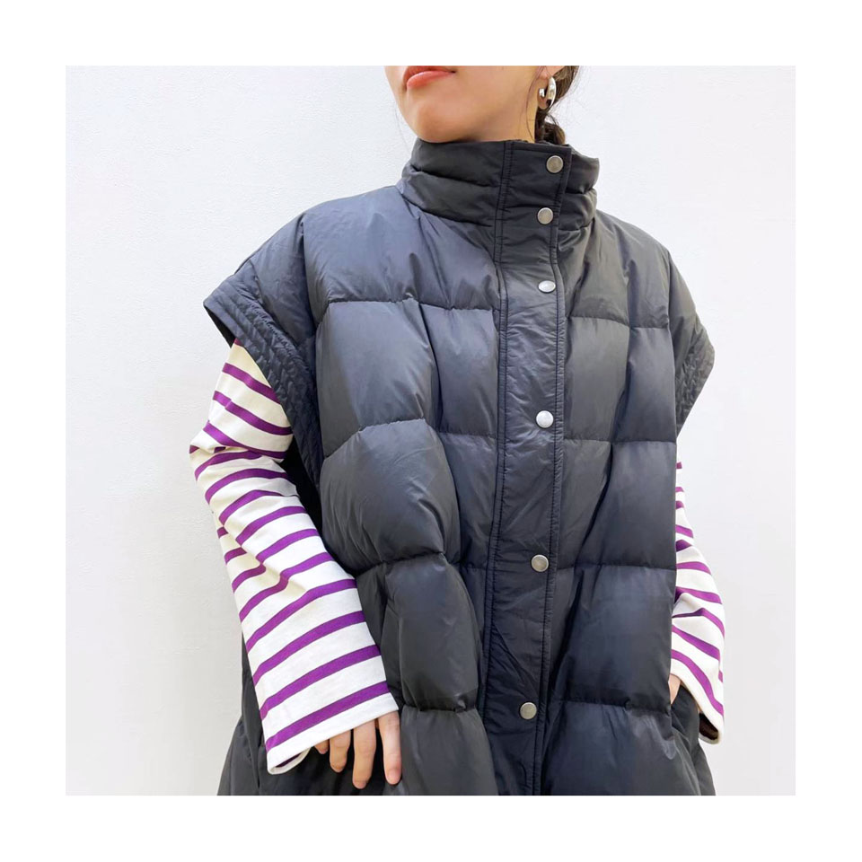 Down Coat/Vest